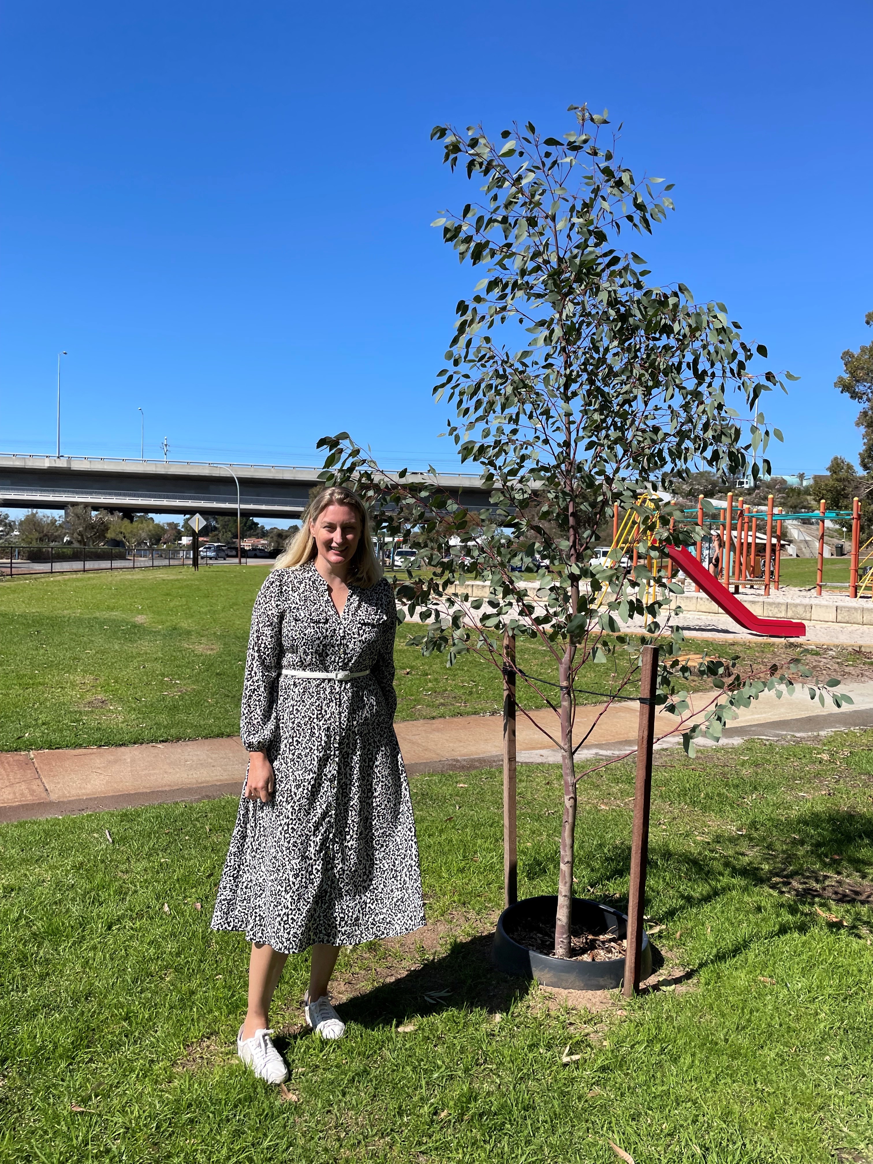 Bateman Tree Canopy Survey